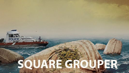 Square Grouper: A Dive into Miami's 1970s Pot Smuggling