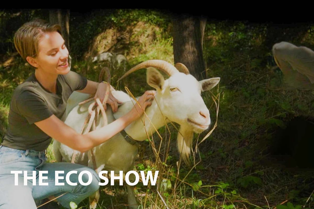 "The Eco Show" - A Journey Through Australia's Diverse Ecology | iWonder