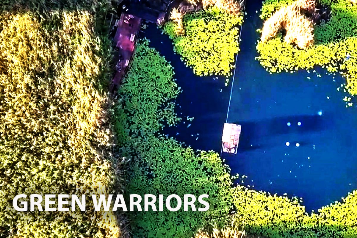 Review of "Green Warriors" - A Drone's Eye View of Global Environmental Scandals