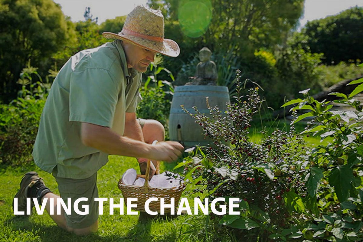 Living the Change: Sustainable Living in Action