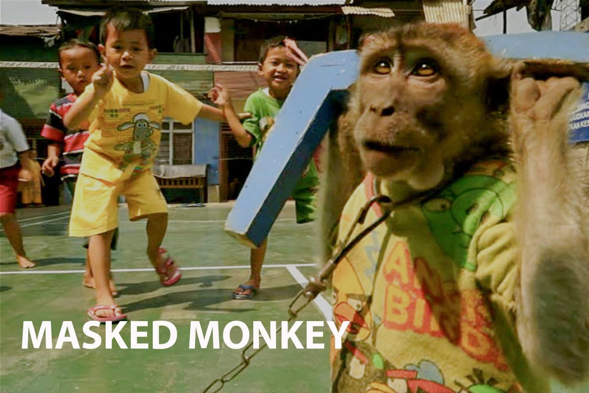 Masked Monkey - Unmasking Jakarta's Controversial Monkey Performance ...