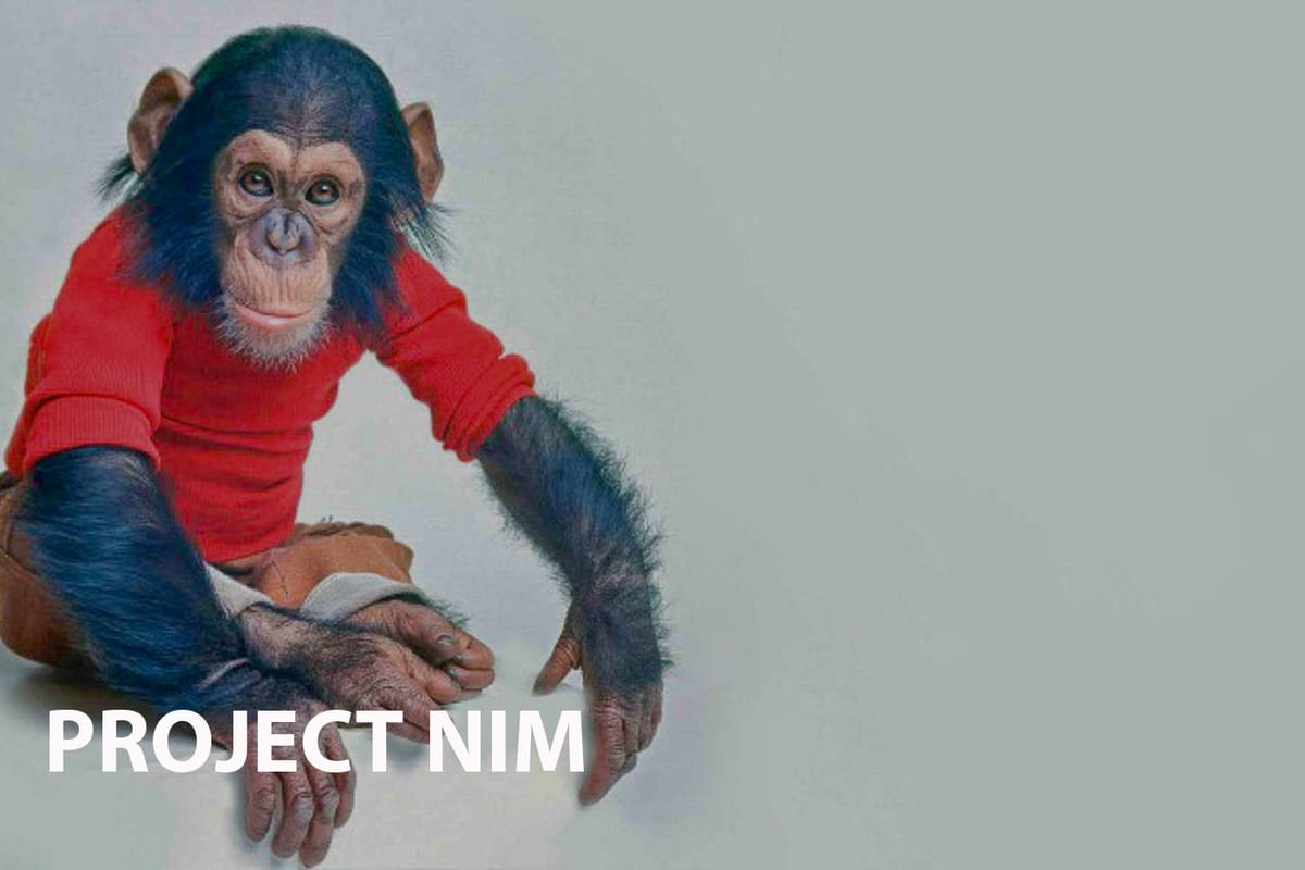 Project Nim: Challenging the Boundaries of Language and Cognition