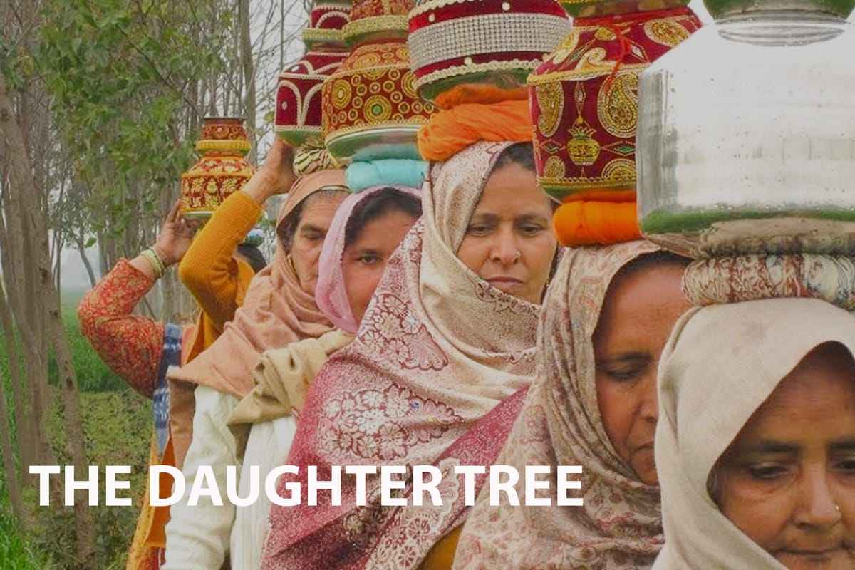 Gender Injustice Exposed - The Daughter Tree Review