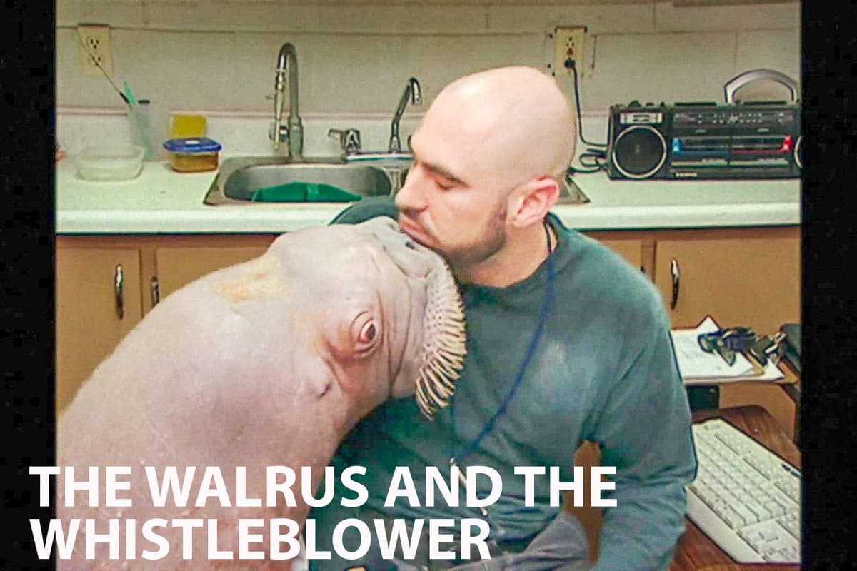 The Walrus and The Whistleblower" - A Riveting Tale of Animal Rights ...